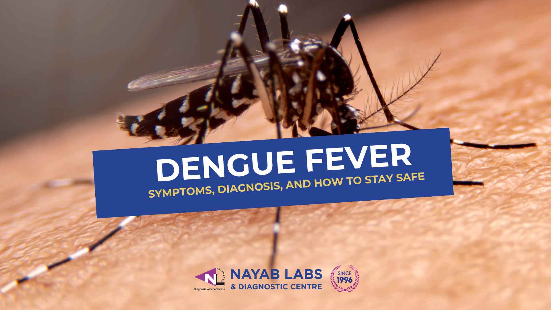 Dengue Fever: Symptoms, Diagnosis, and How to Stay Safe - Nayab Labs ...