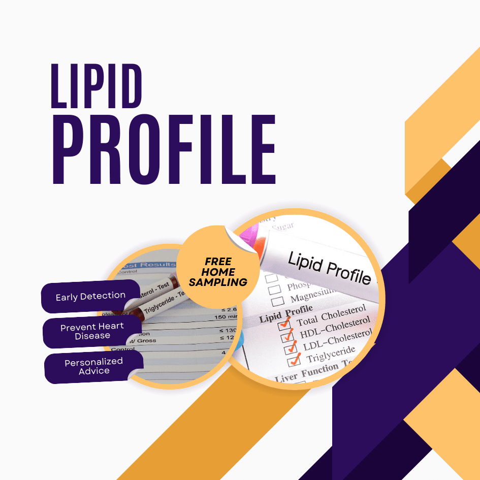 Lipid Profile Test: What It Measures, Why It's Important