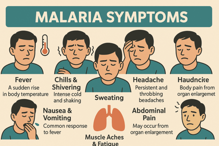 Malaria Symptoms: Early Warning Signs and Diagnosis - Nayab Labs and ...